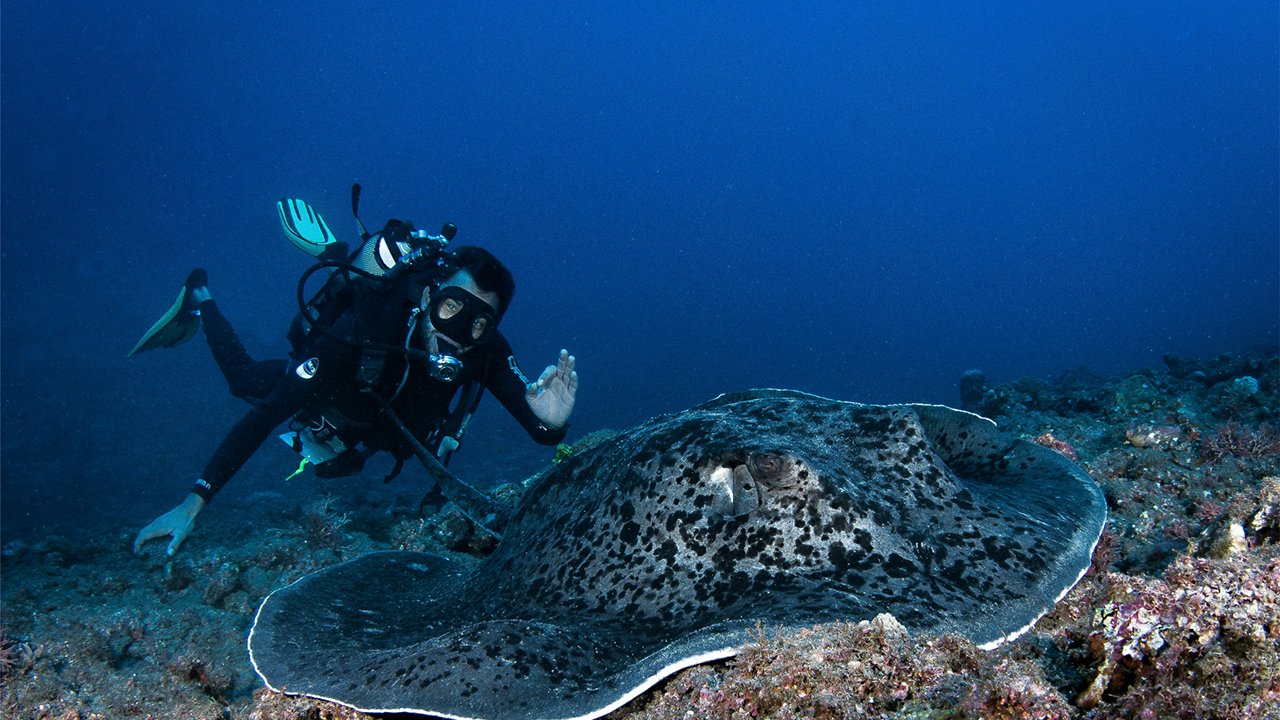Le lagon et la réserve marine de La Réunion